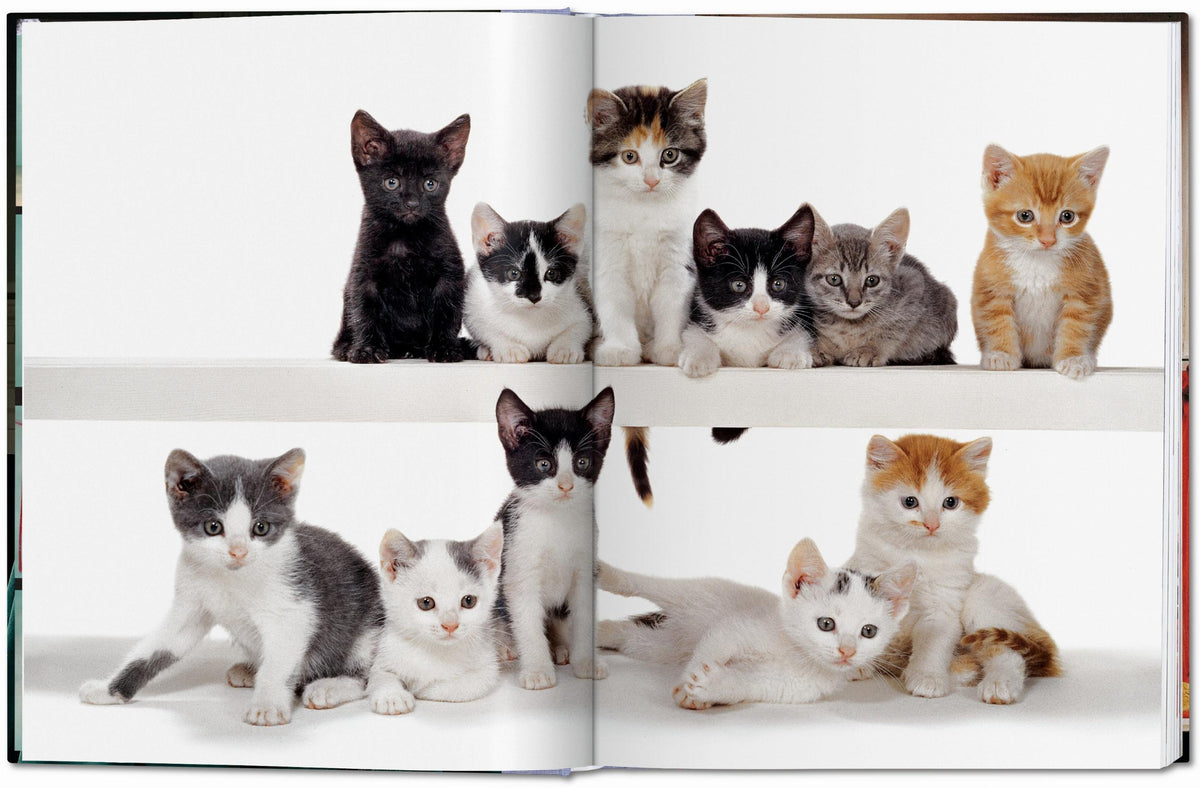 Walter Chandoha. Cats. Photographs 1942–2018 – Art&Science